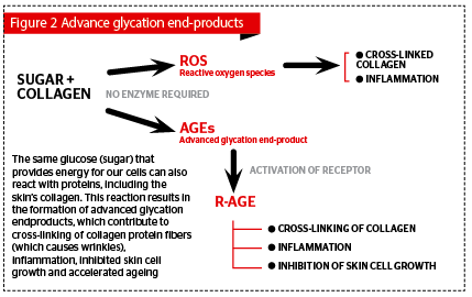 Glycation and ageing: measurement and treatment | PRIME Journal
