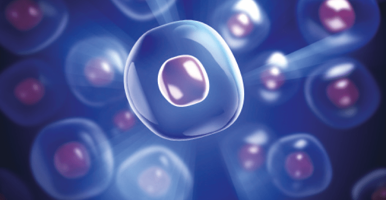 Stem Cells in Aesthetic Medicine – Clinical Applications and Methods ...