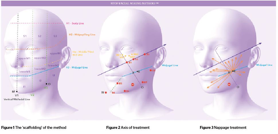 The STOP Facial Ageing Method™ a rigorous procedure for a flawless ...