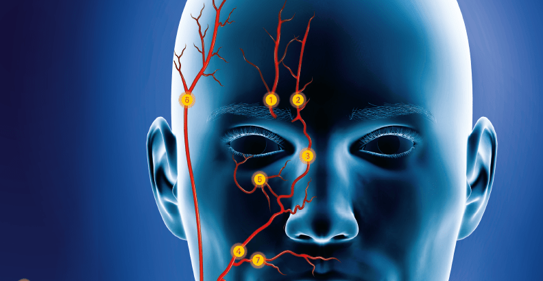 Avoiding intra-vascular complications after filler injection | PRIME ...